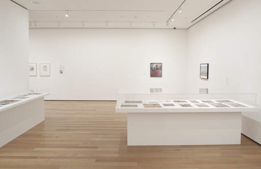 Martha Rosler. Boys' Room from the series House Beautiful: Bringing the ...