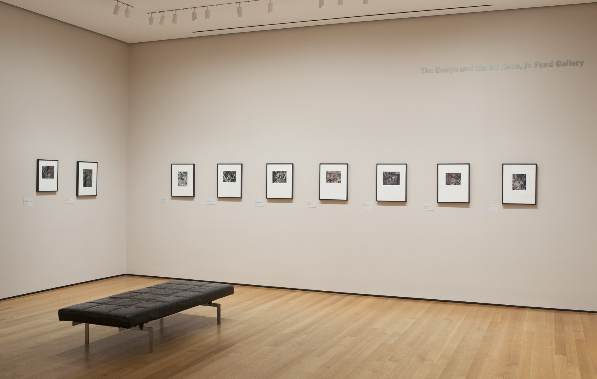 Installation view of the exhibition "Aritst's Choice: Trisha Donnelly ...