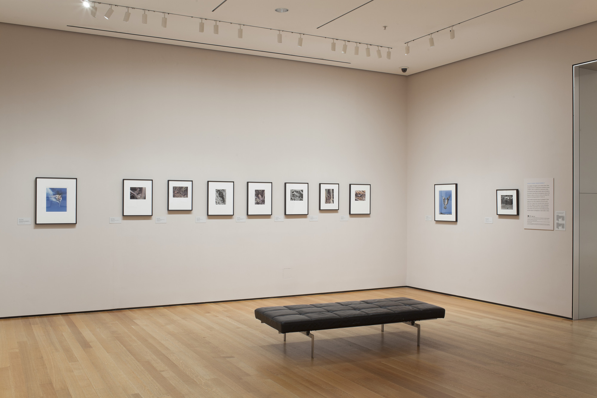 Installation view of the exhibition "Aritst's Choice: Trisha Donnelly ...