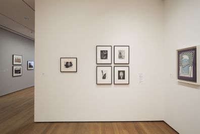 Edward Weston. Pepper No. 30. 1930 | MoMA