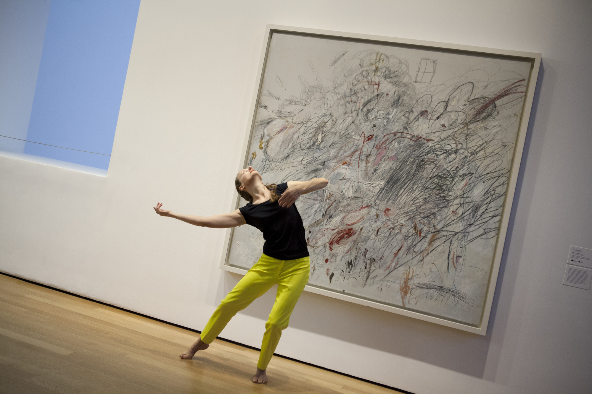 View of the performance, "20 Dancers for the XX Century" in the series ...