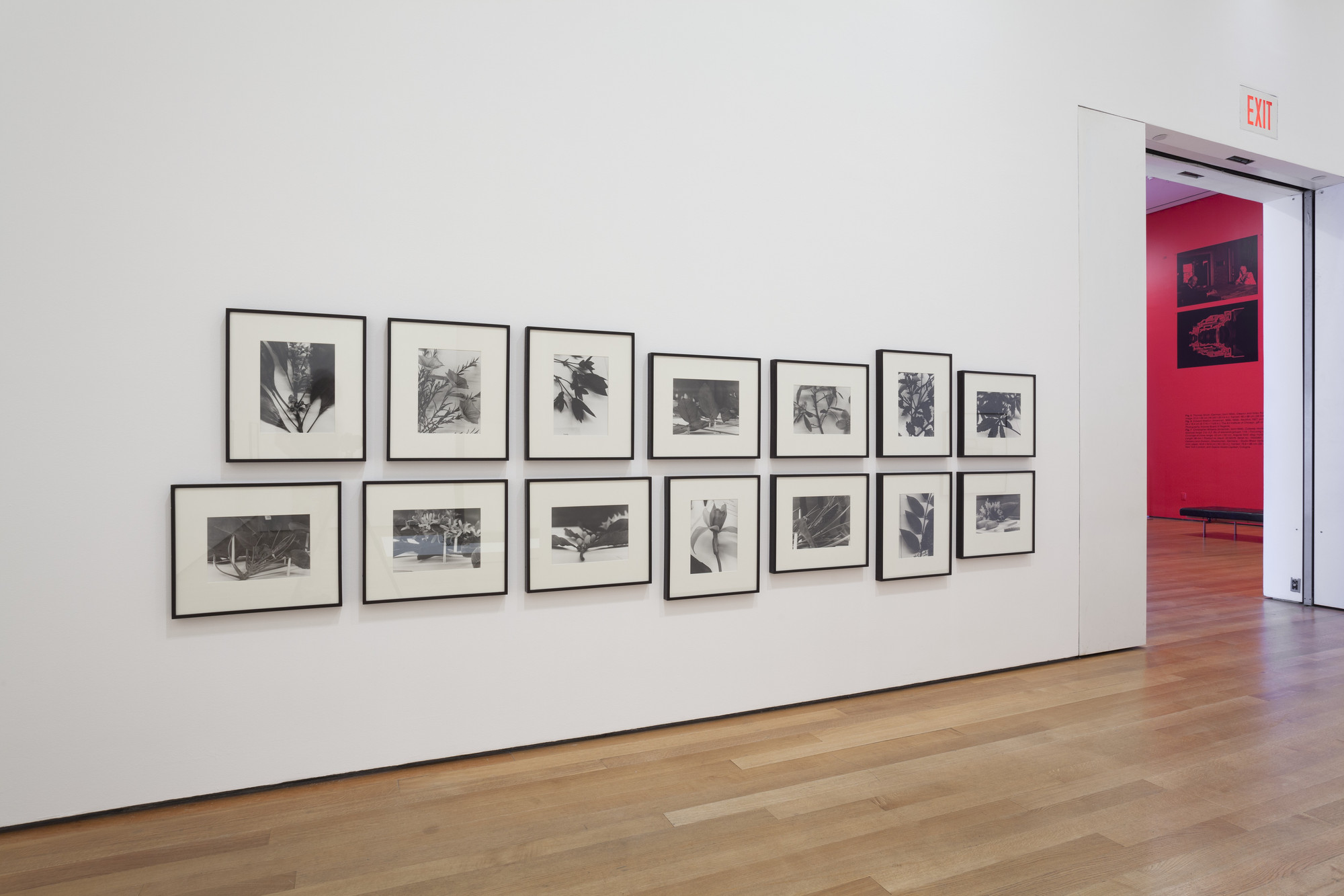 Installation view of the exhibition "Christopher Williams: The ...