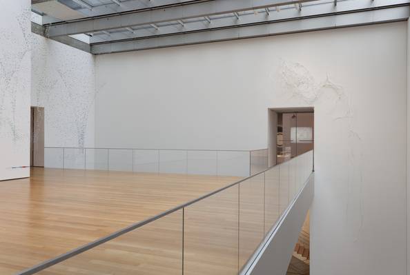 Ranjani Shettar. Just a bit more. 2005-06 | MoMA