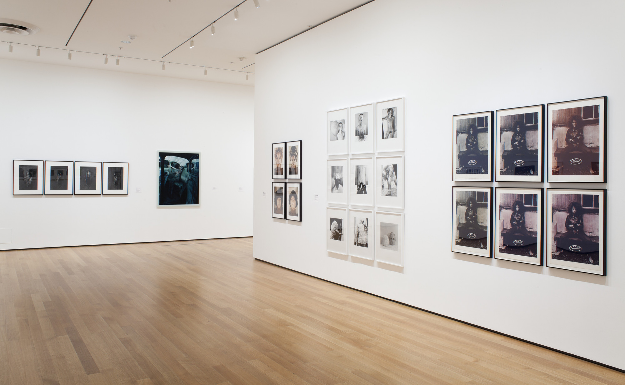 Installation view of the exhibition "Staging Action: Performance in ...