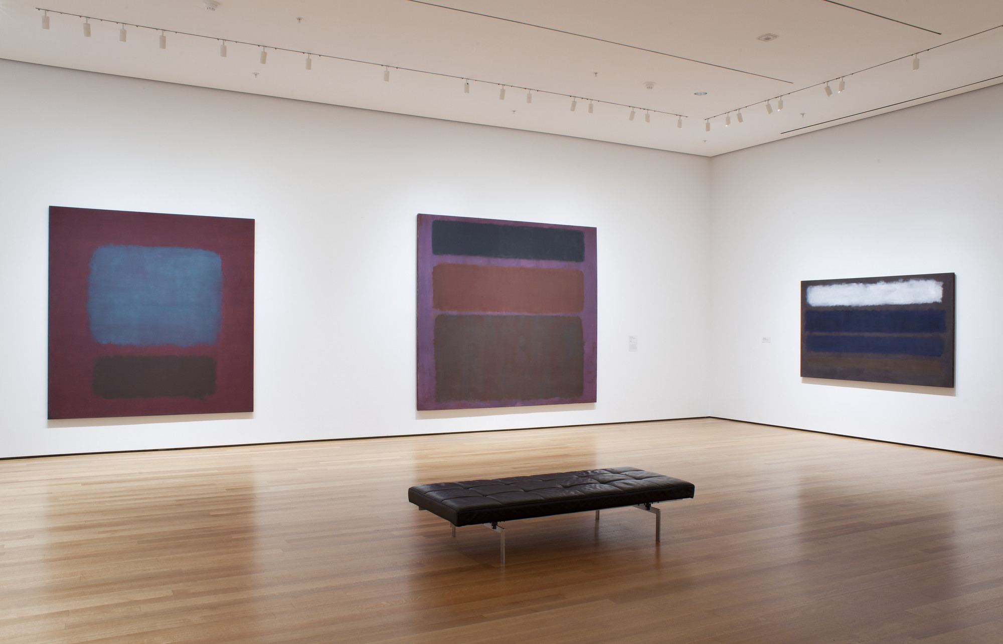 Installation view of the exhibition "Abstract Expressionist New York ...