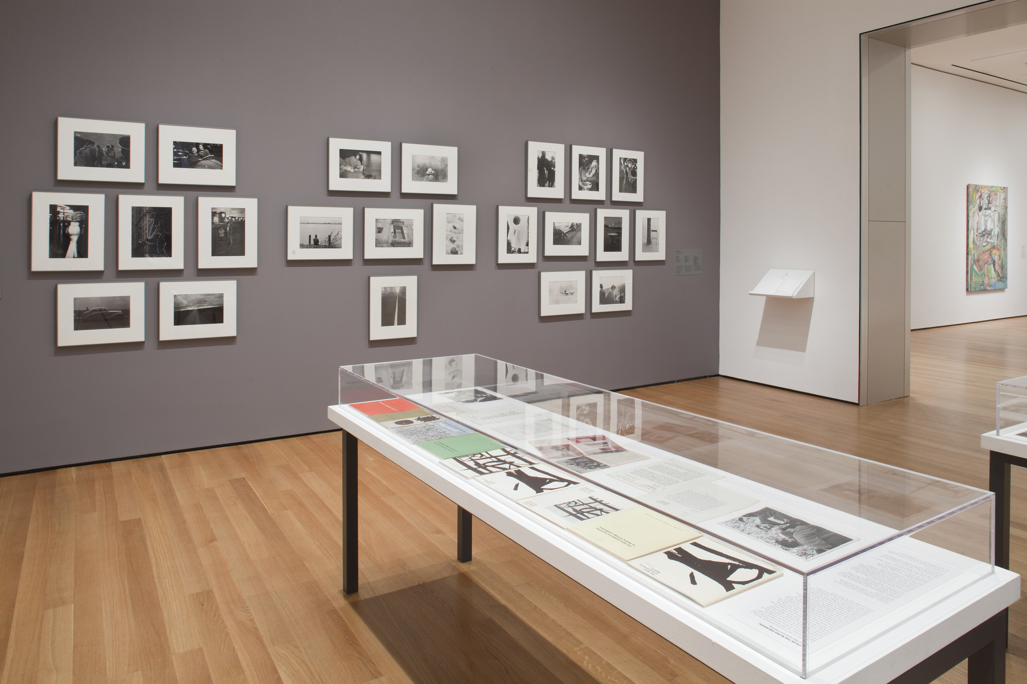 Installation view of the exhibition "Abstract Expressionist New York ...