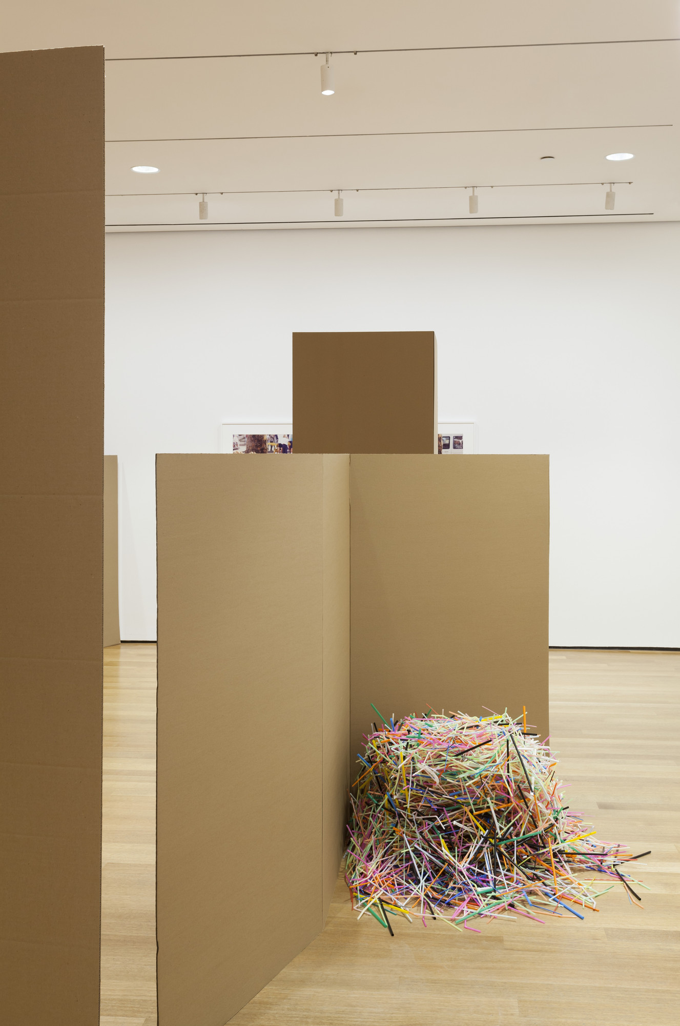 Installation view of the exhibition "Rachel Harrison: Perth Amboy" | MoMA