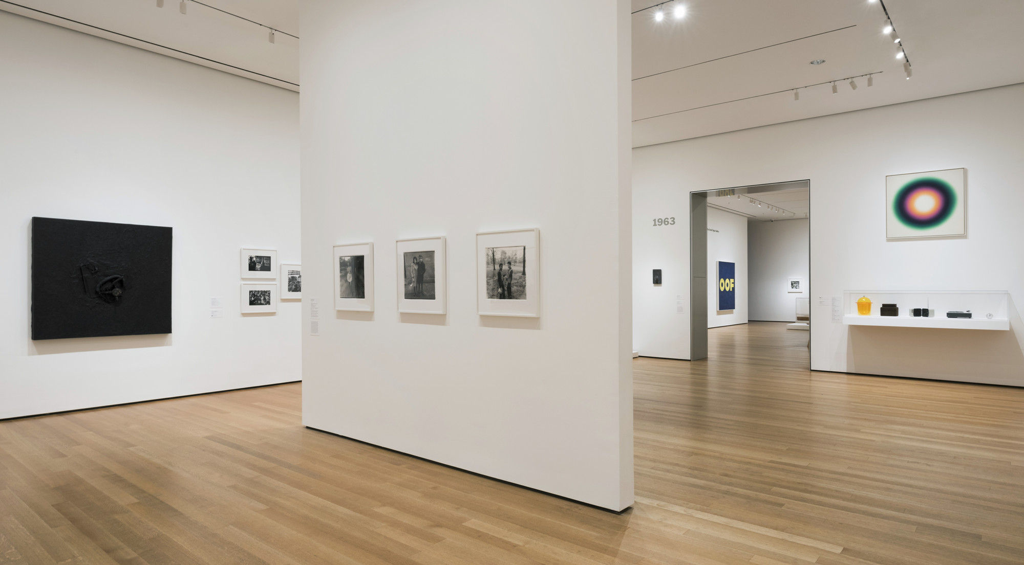 Installation view of the exhibition "From the Collection: 1960-1969" | MoMA