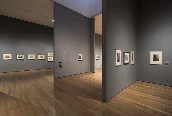 Hilaire-Germain-Edgar Degas. Forest in the Mountains (Forêt dans la ...