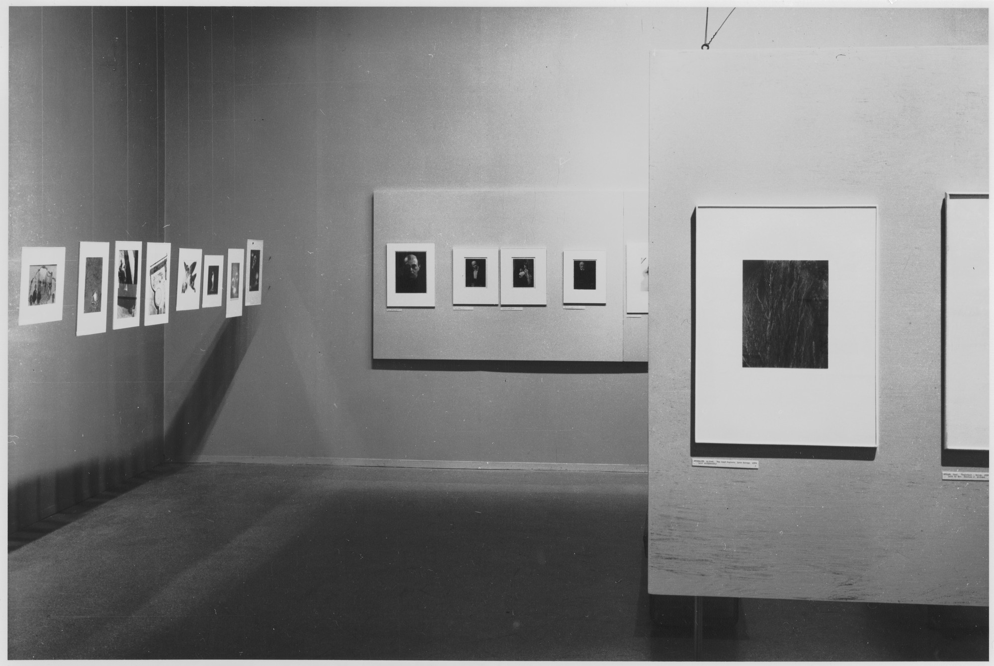 Installation view of the exhibition "Sixty Photographs: A Survey of ...