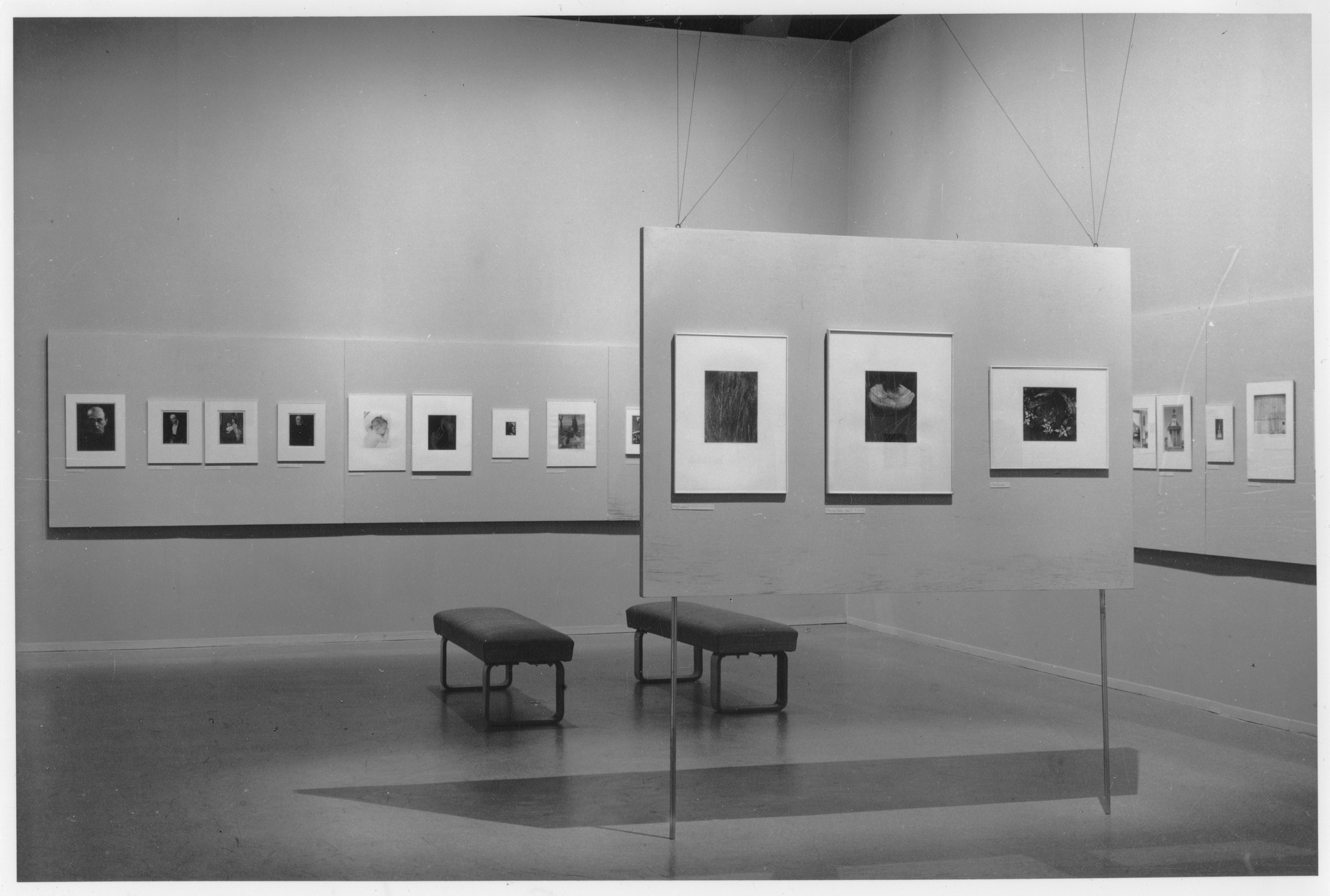 Installation view of the exhibition "Sixty Photographs: A Survey of ...