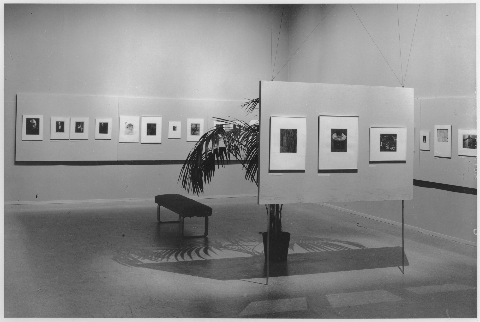 Installation view of the exhibition "Sixty Photographs: A Survey of ...