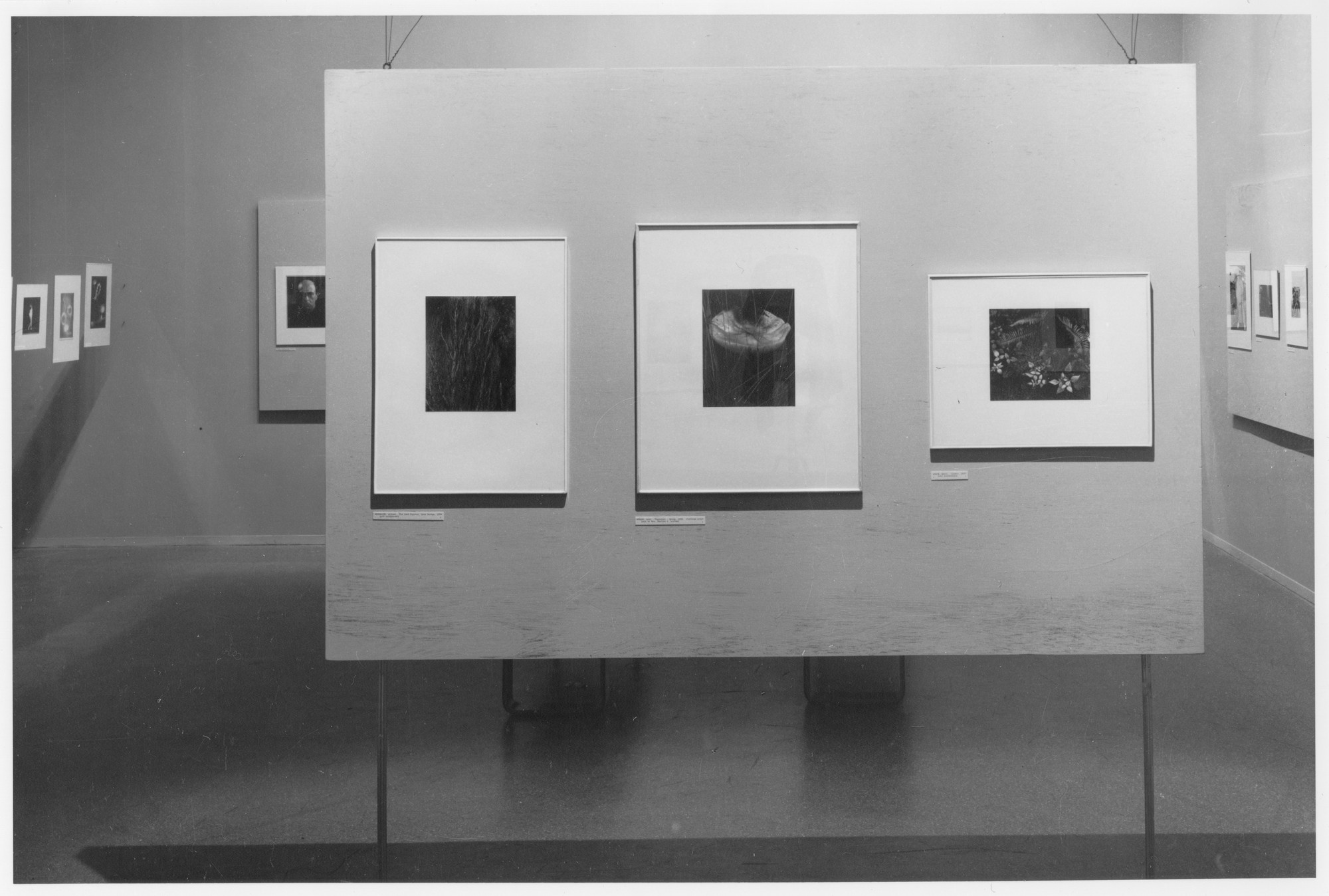 Installation view of the exhibition, "Sixty Photographs: A Survey of ...
