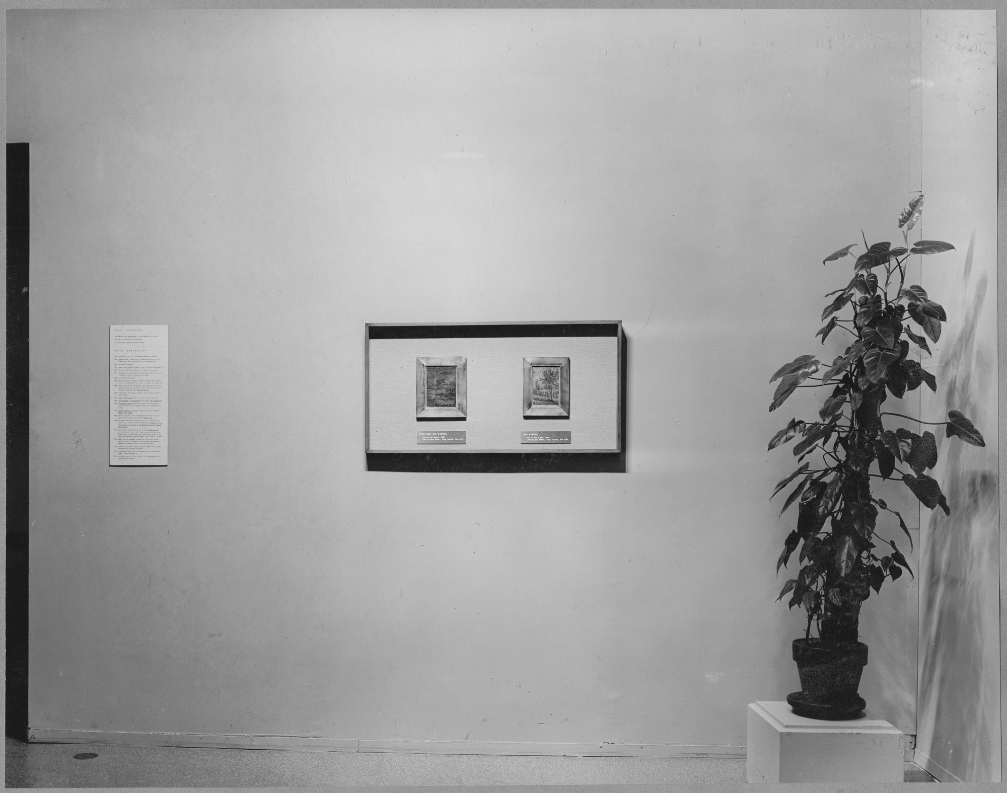 Henri Rousseau | MoMA