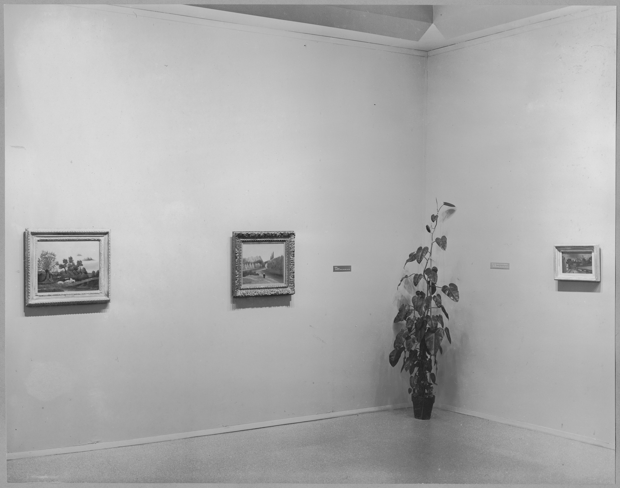 Installation view of the exhibition "Henri Rousseau." | MoMA