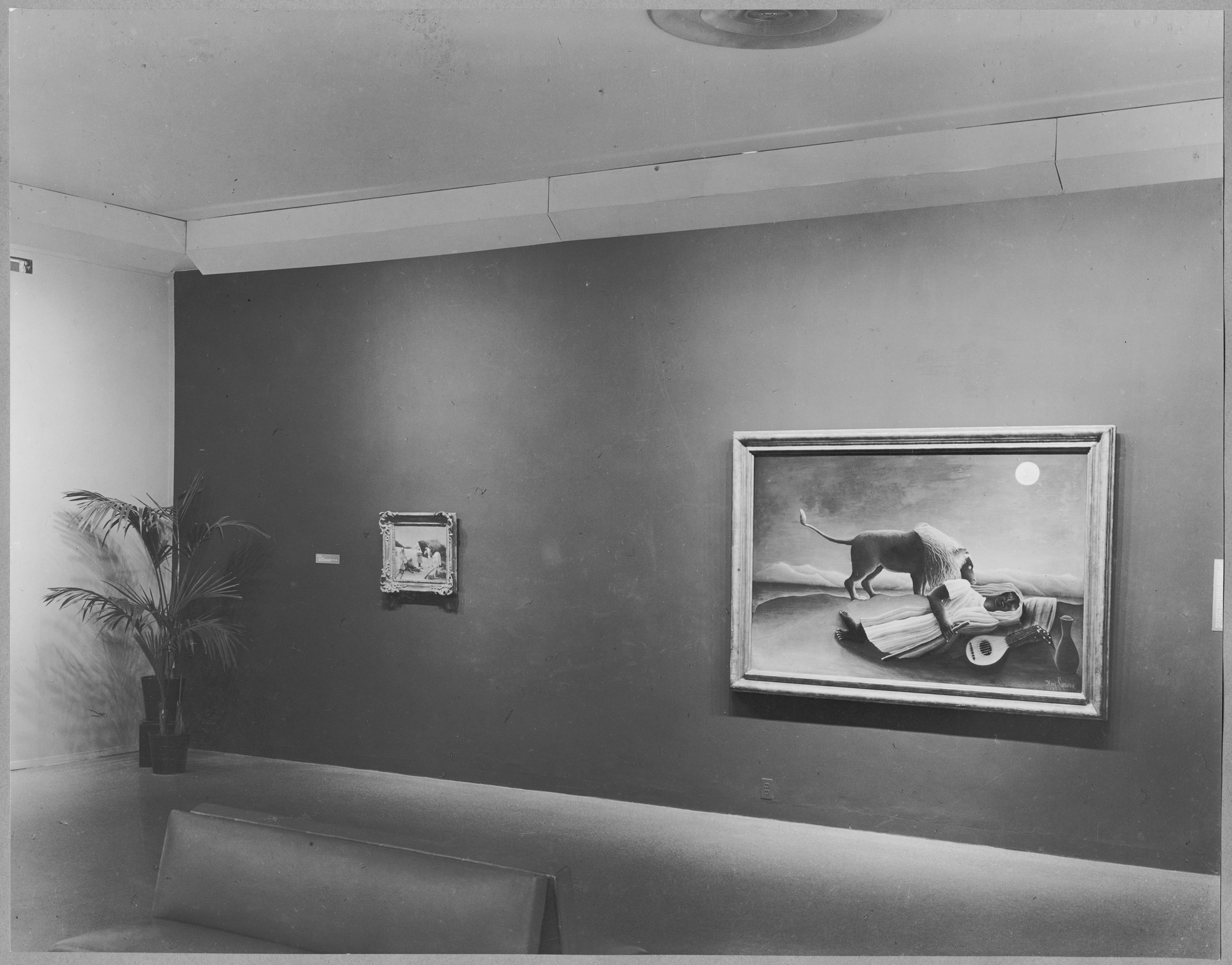 Installation view of the exhibition "Henri Rousseau." | MoMA