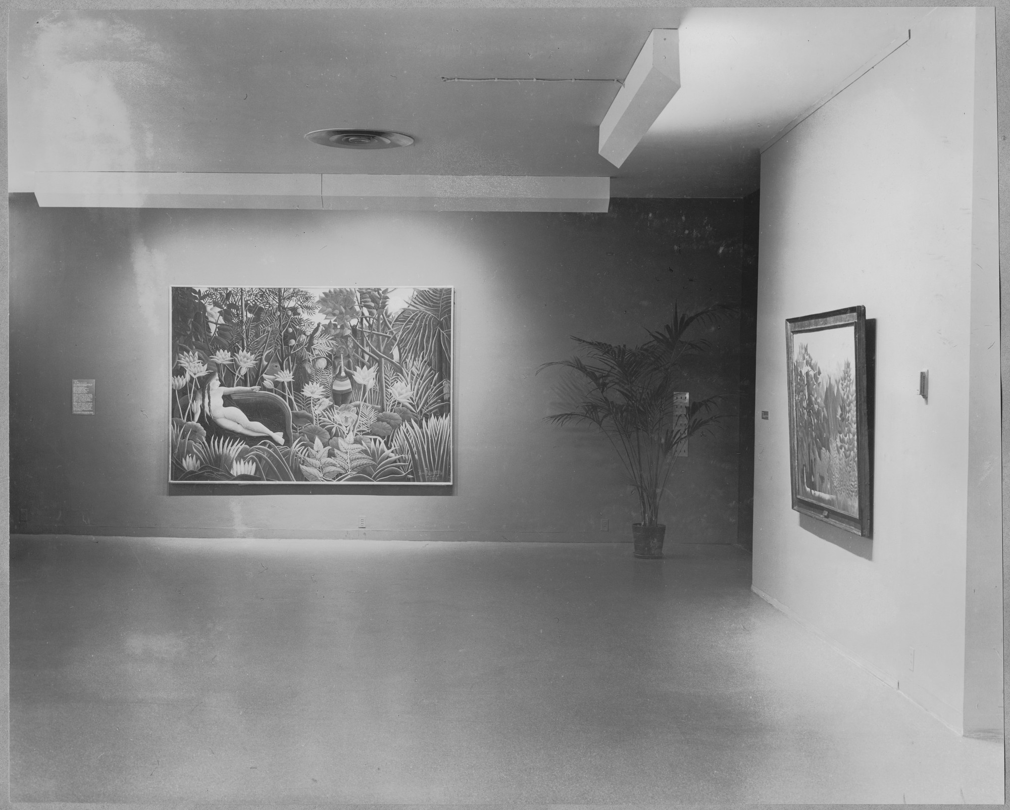 Installation view of the exhibition "Henri Rousseau." | MoMA