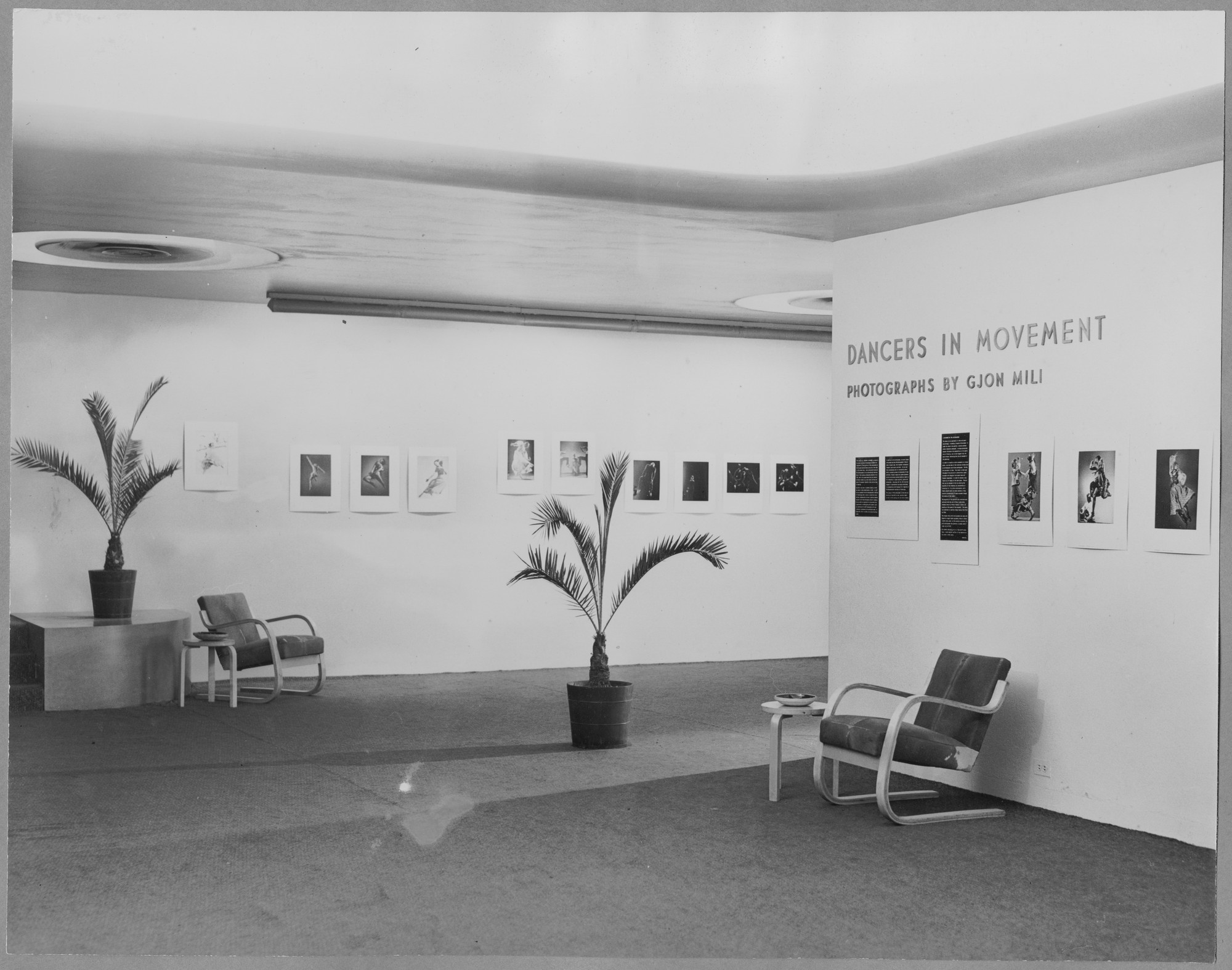 Dancers in Movement: Photographs by Gjon Mili | MoMA
