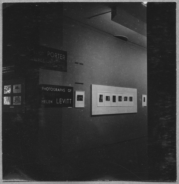 Helen Levitt: Photographs of Children | MoMA