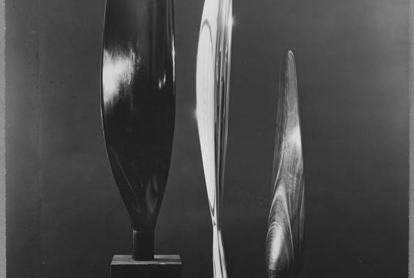 Constantin Brancusi. Bird in Space. 1928 | MoMA