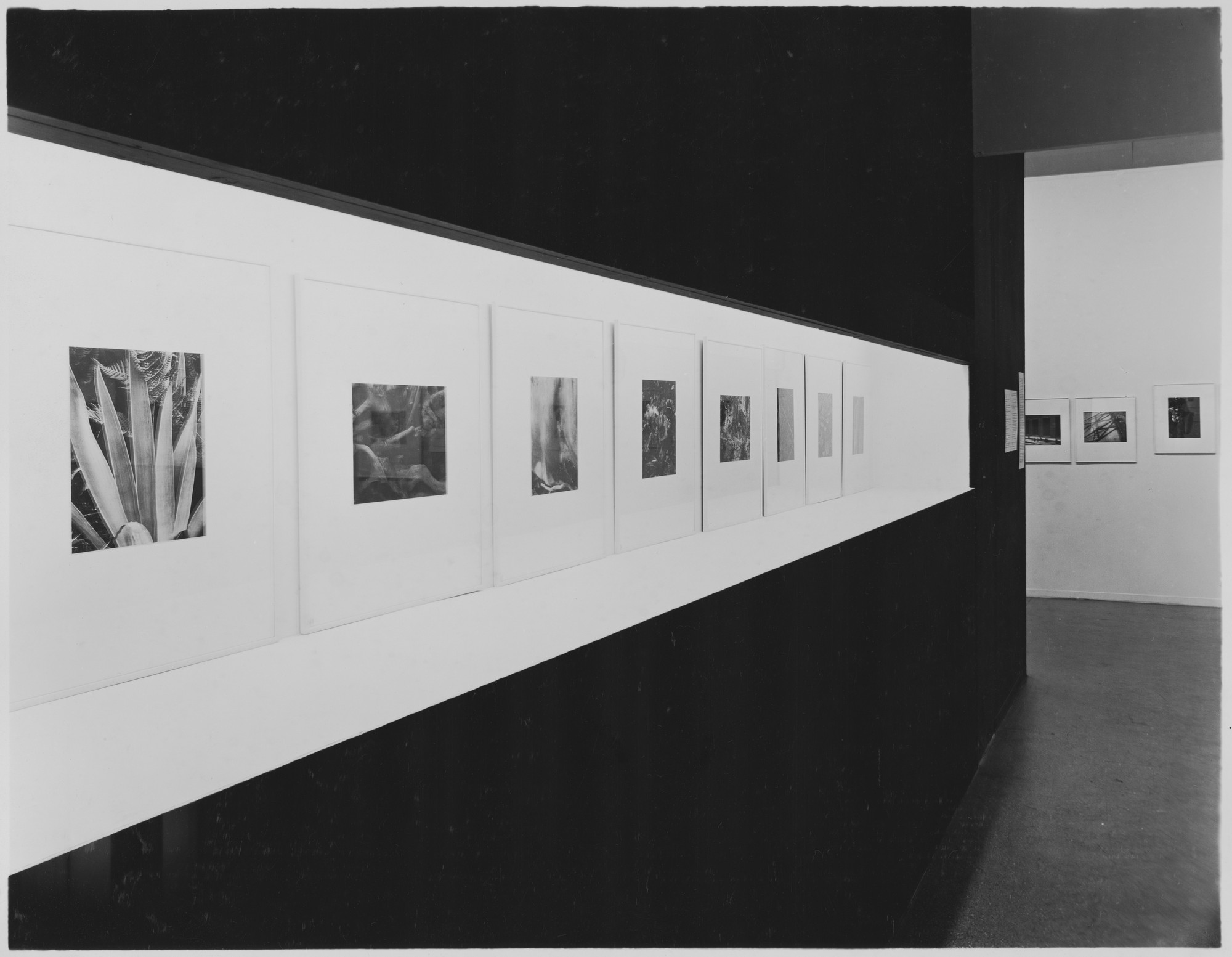 Installation view of the exhibition "Paul Strand: Photographs 1915-1945 ...