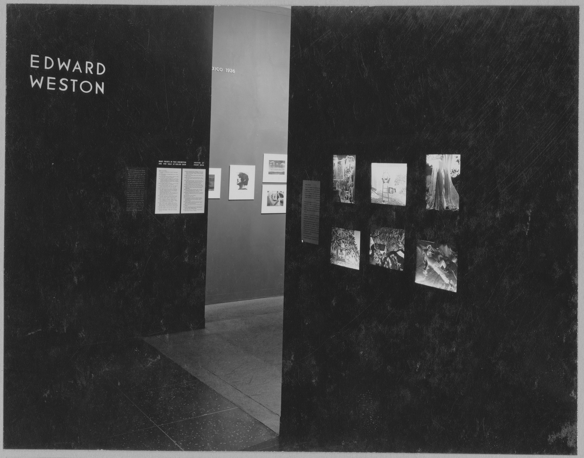 The Photographs of Edward Weston | MoMA
