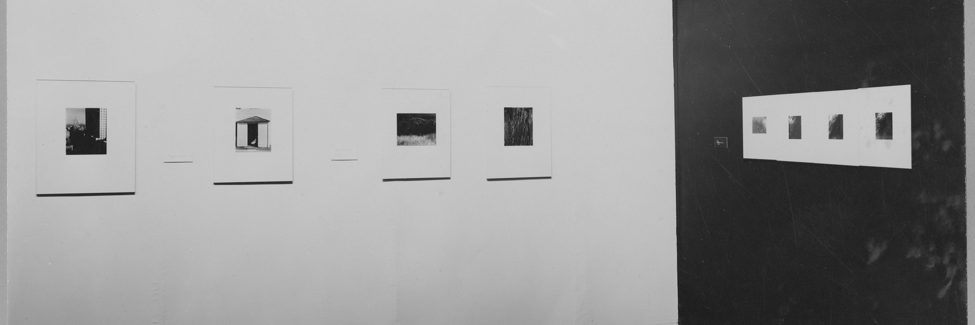 Alfred Stieglitz Exhibition: His Photographs | MoMA