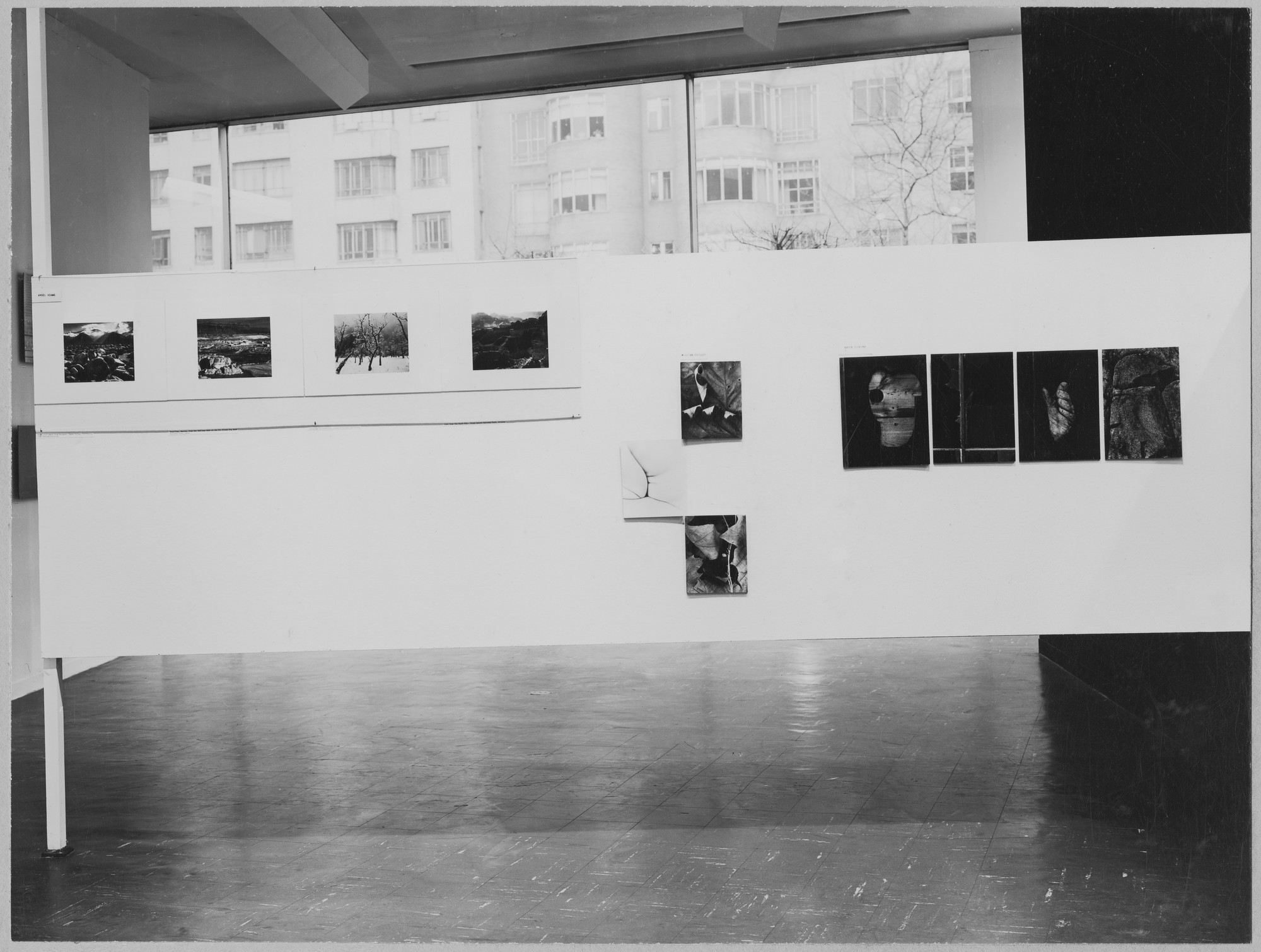 Installation view of the exhibition "In and Out of Focus: A Survey of ...