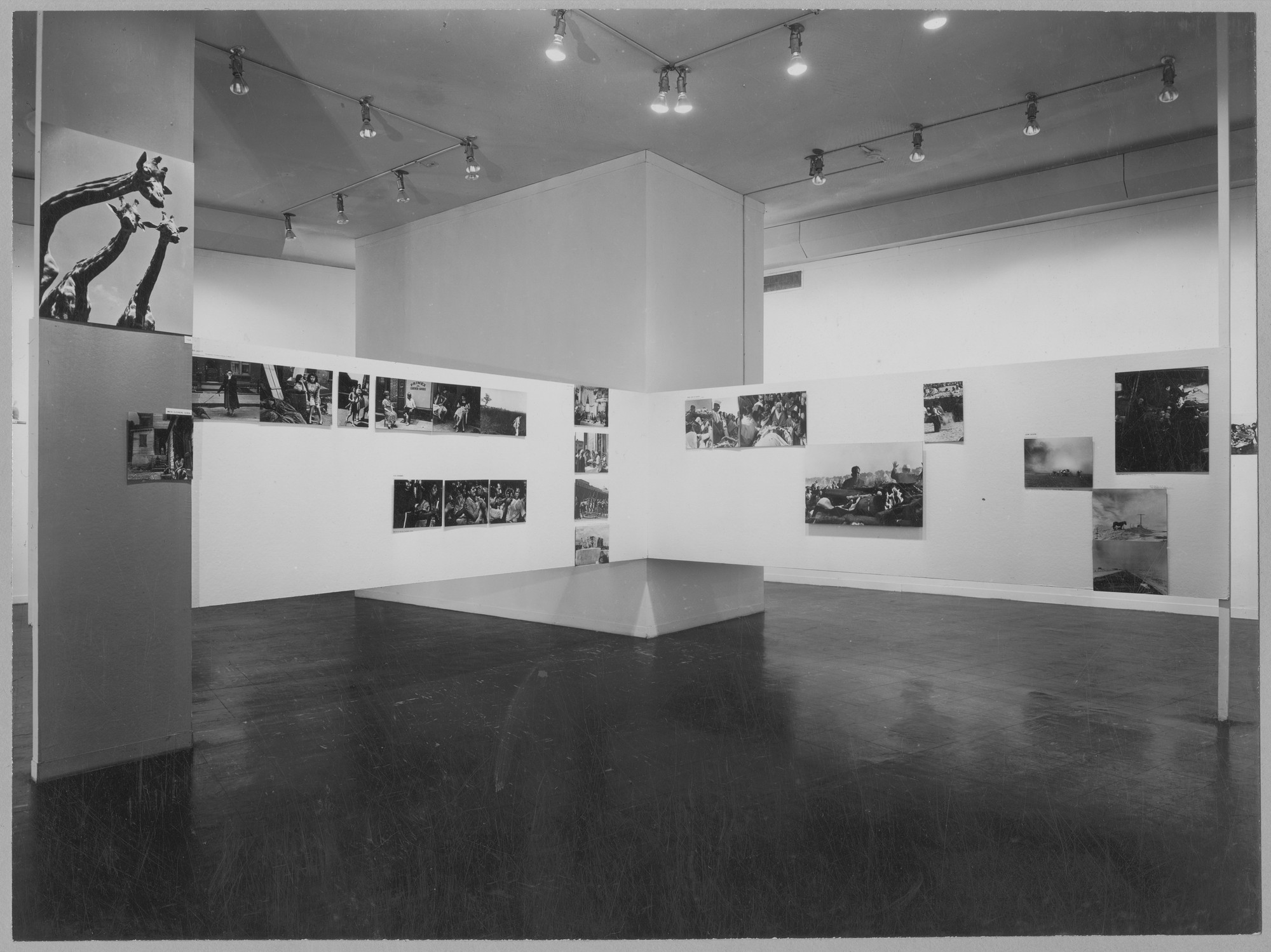 Installation view of the exhibition "In and Out of Focus: A Survey of ...