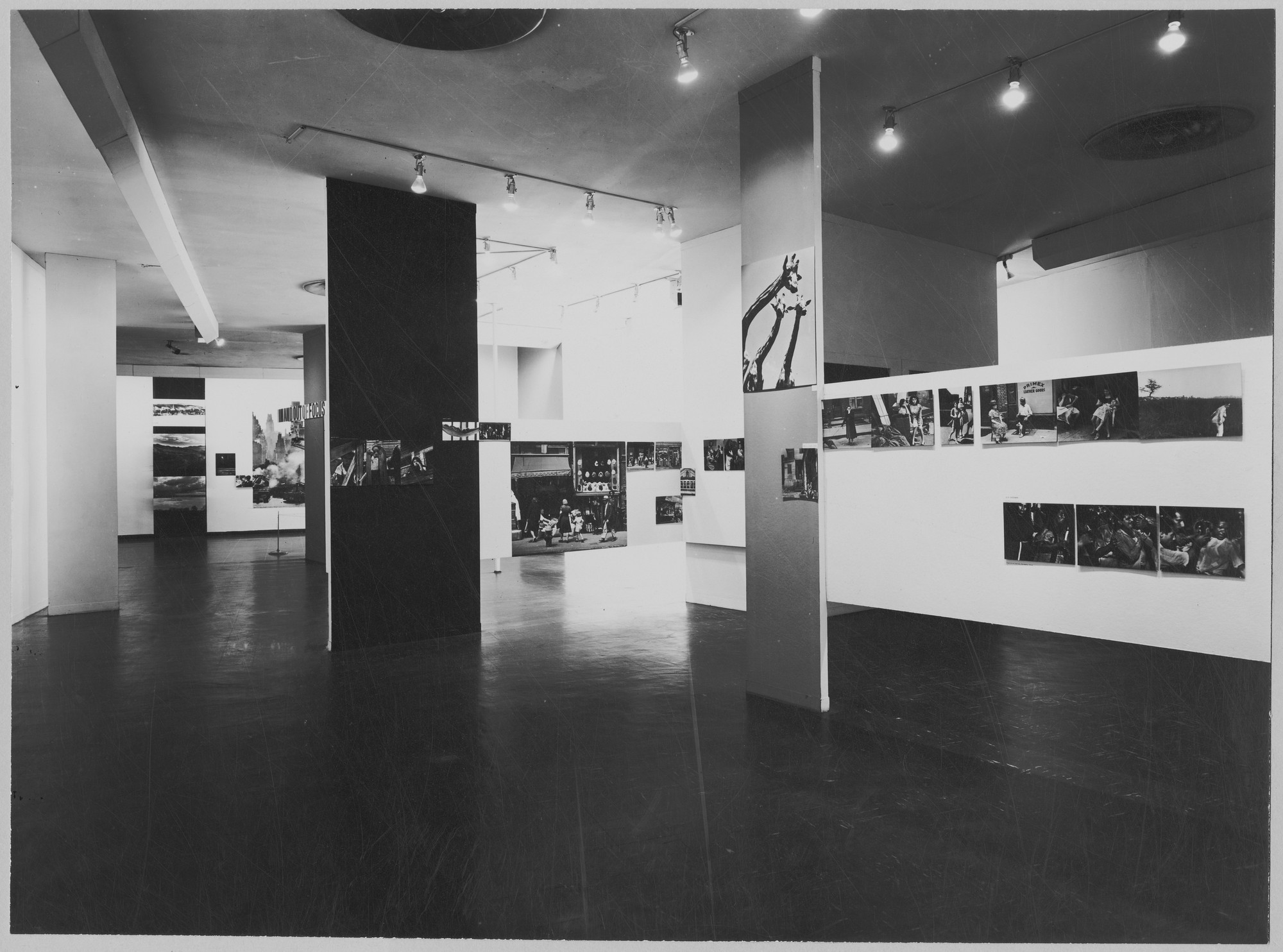 Installation view of the exhibition "In and Out of Focus: A Survey of ...
