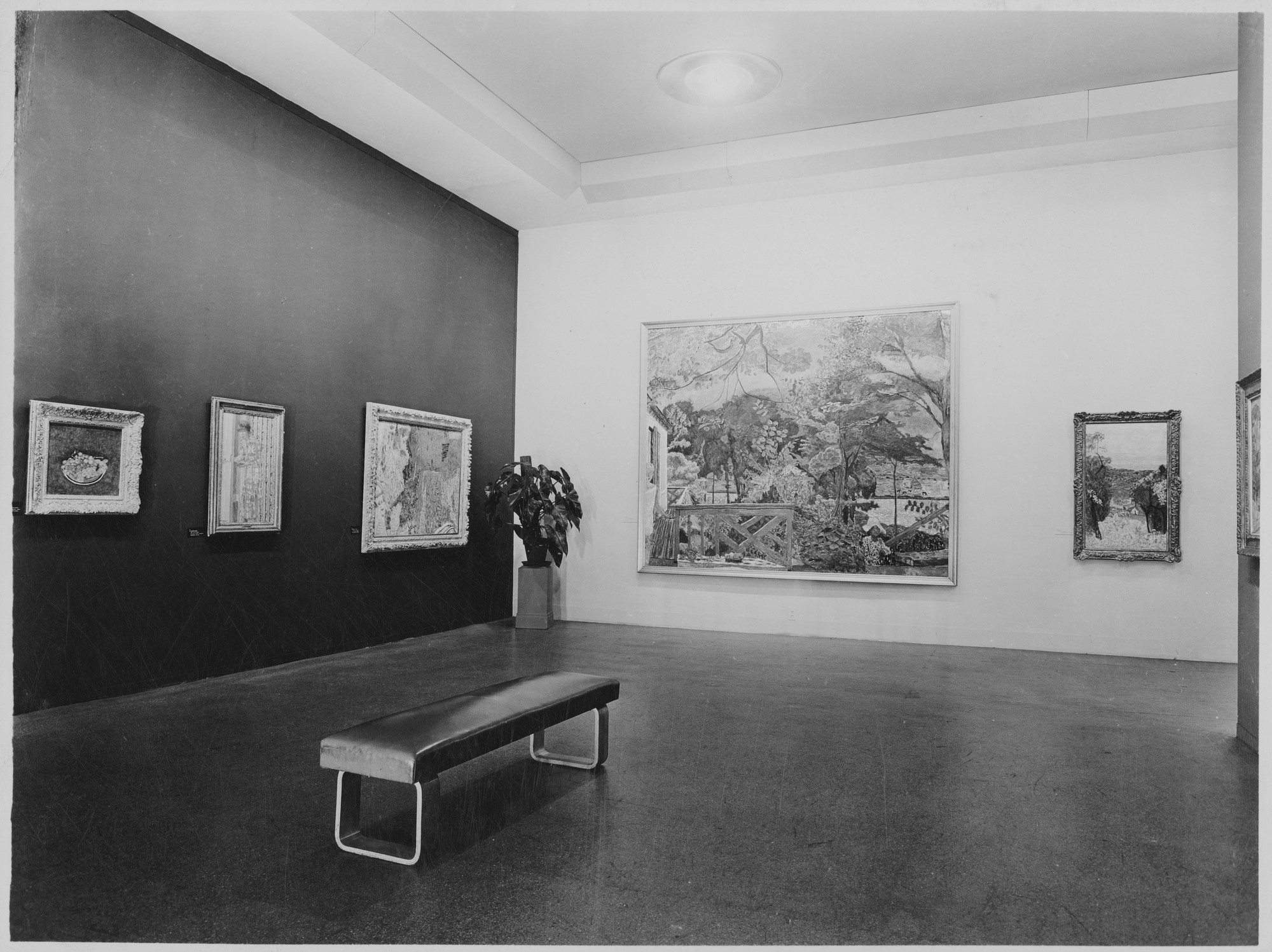 Installation view of the exhibition "Pierre Bonnard." | MoMA