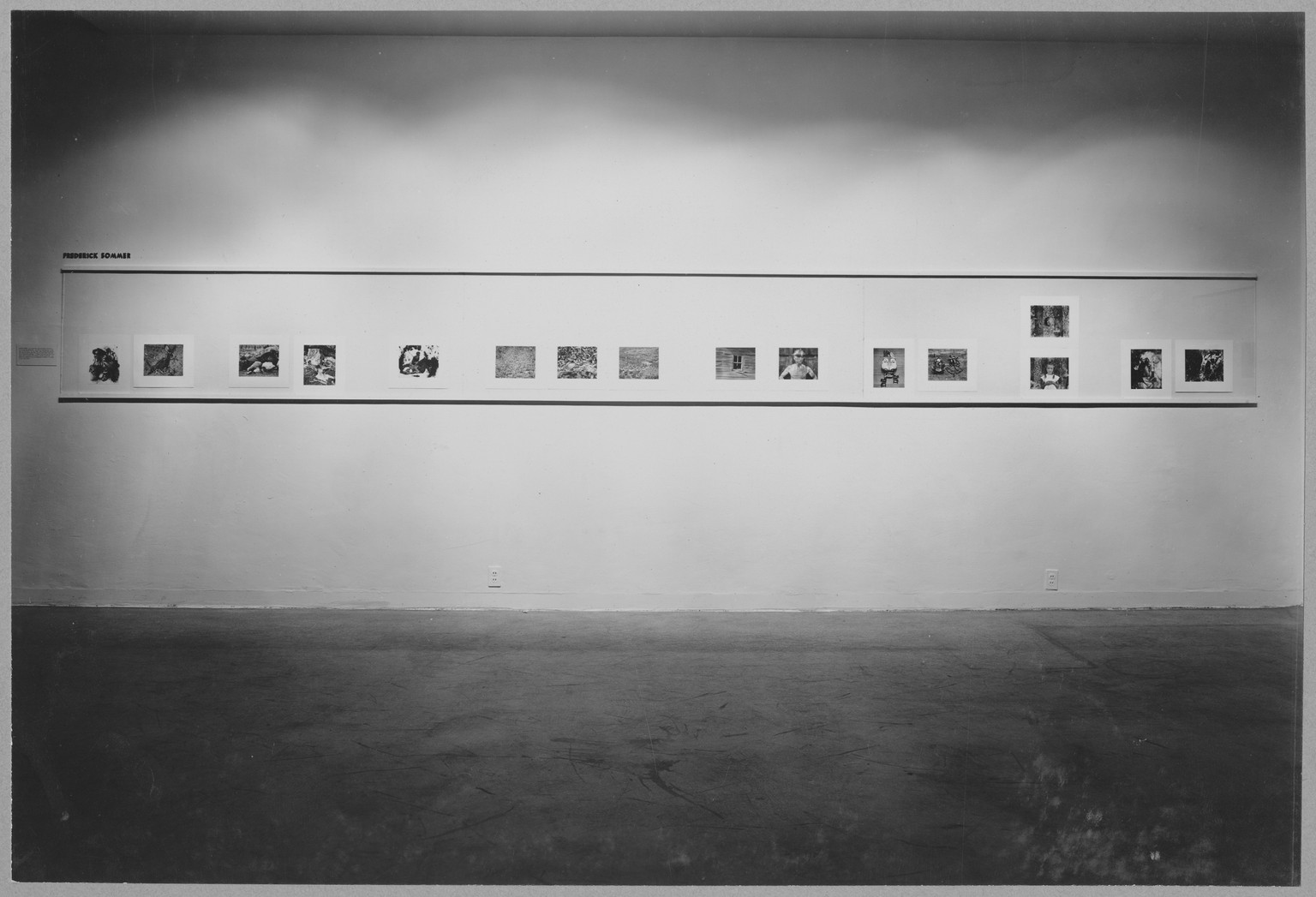 Realism in Photography | MoMA