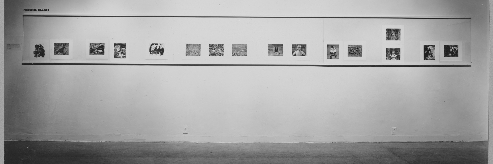 Realism in Photography | MoMA