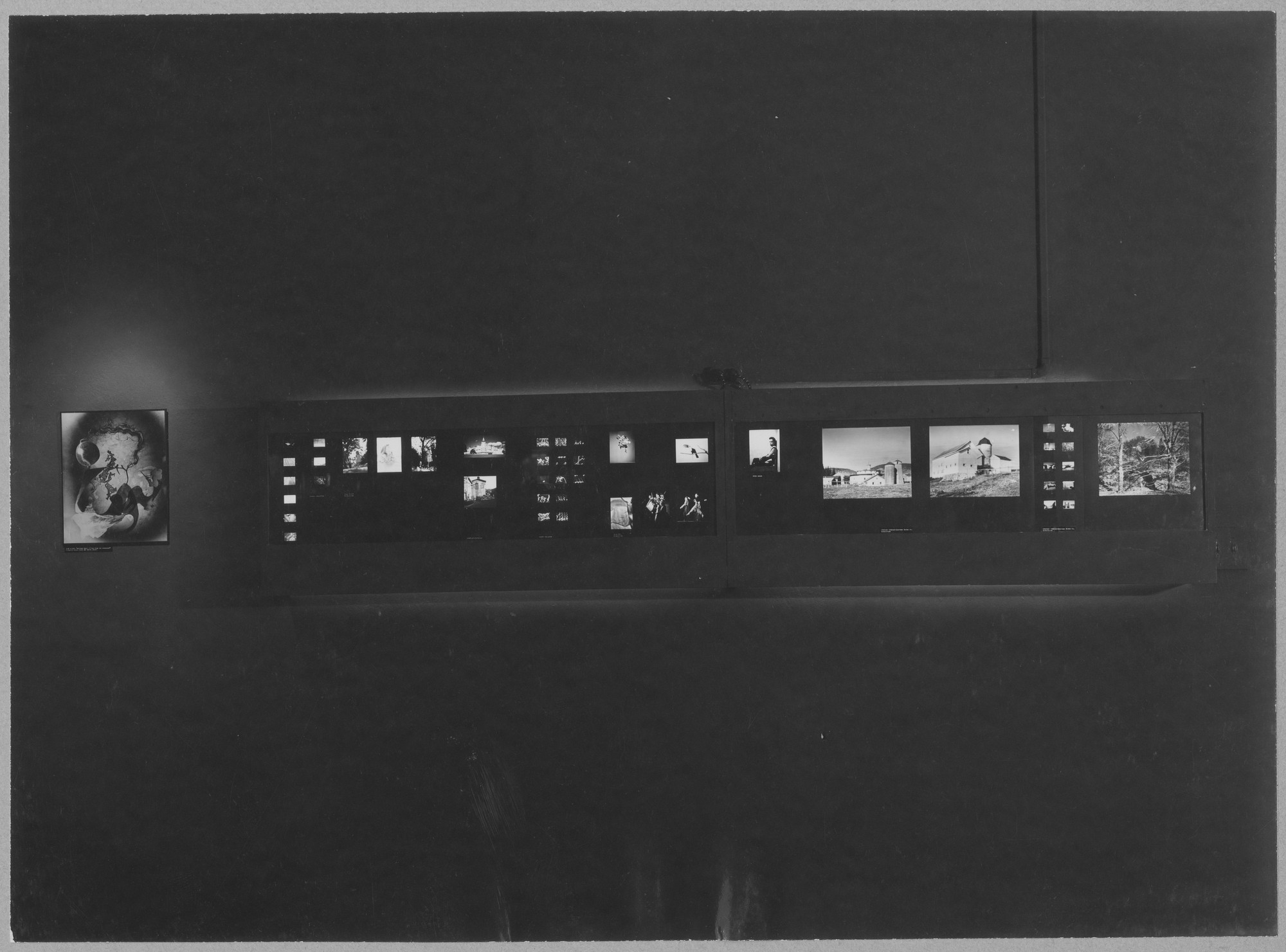 Installation view of the exhibition "Color Photography" | MoMA