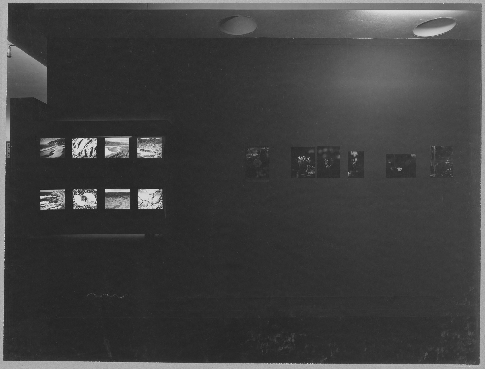 Installation view of the exhibition "Color Photography." | MoMA