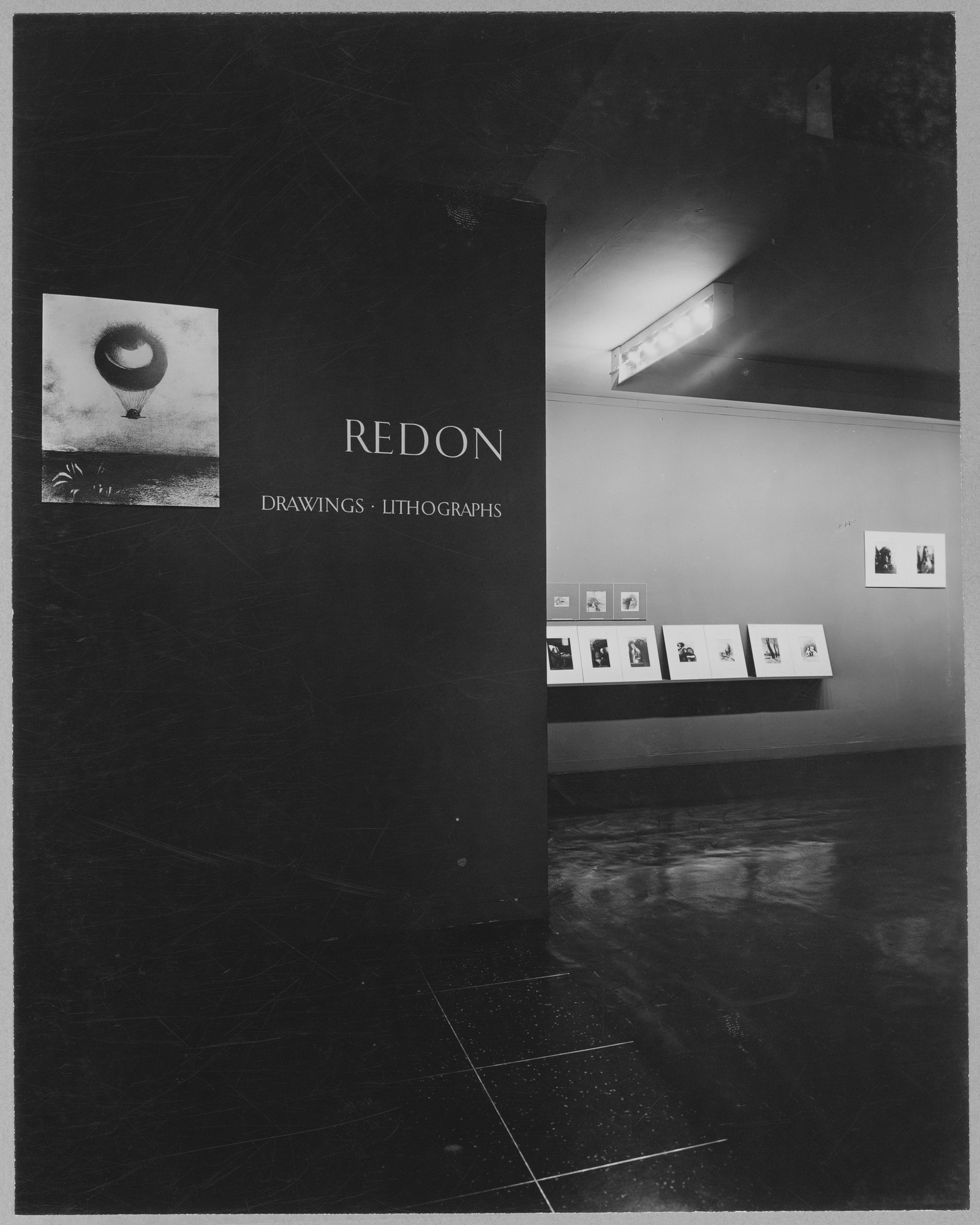 Installation view of the exhibition "Odilon Redon: Drawings and ...
