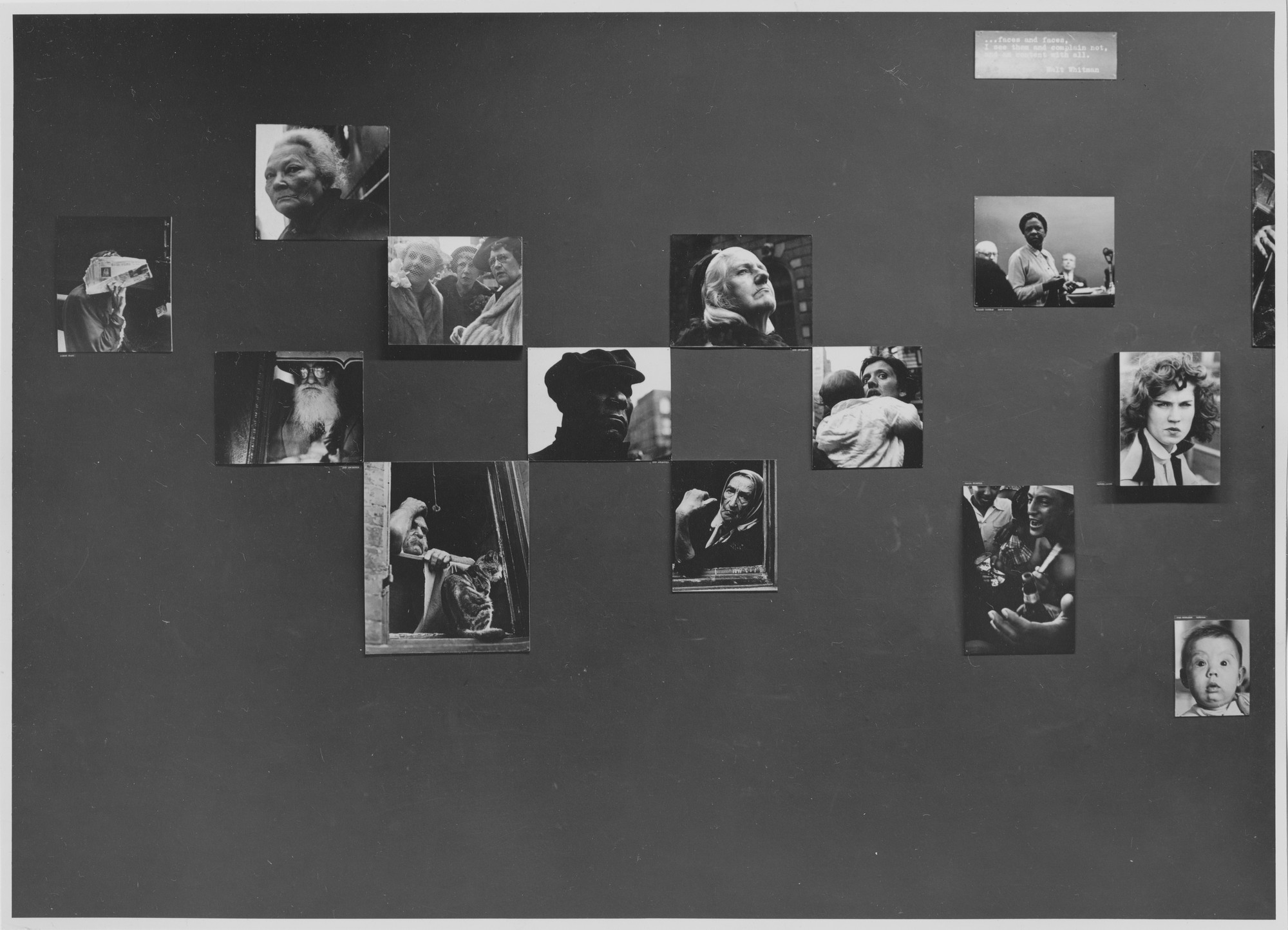 Installation view of the exhibition "70 Photographers Look at New York ...