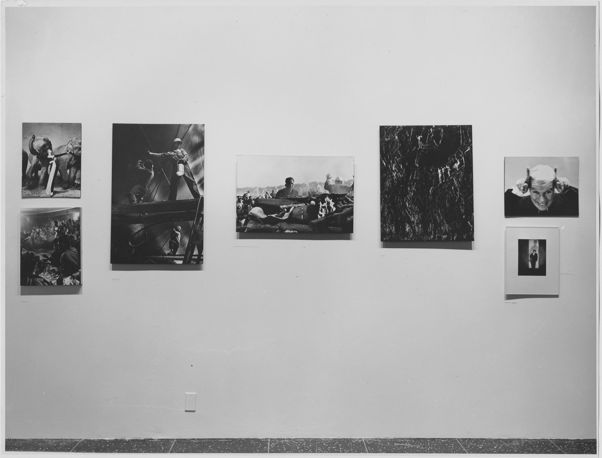 Installation view of the exhibition "Photographs from the Museum ...