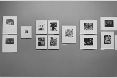 Tina Modotti. Roses, Mexico. 1924 | MoMA