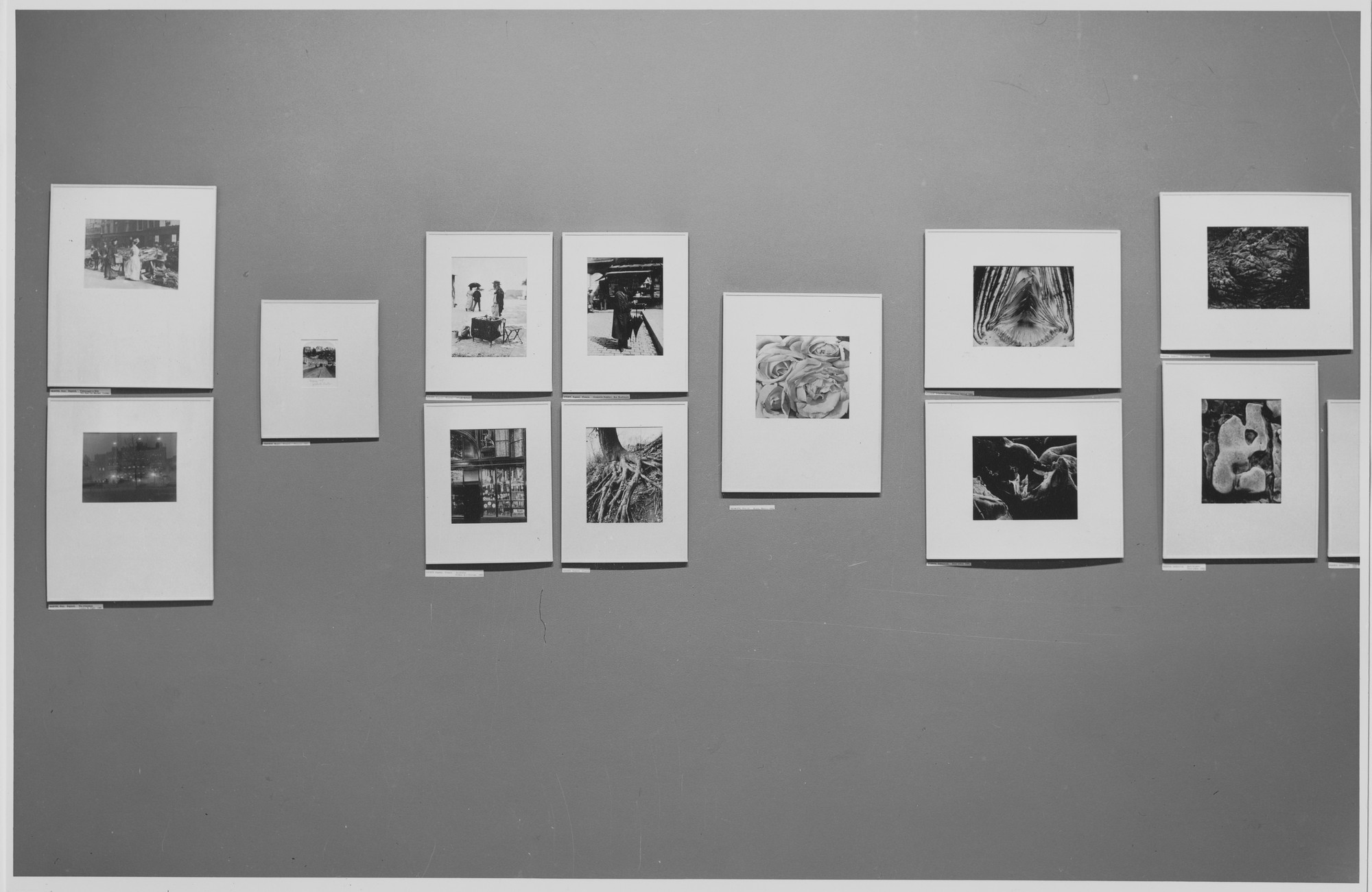 Installation view of the exhibition "Photographs from the Museum ...