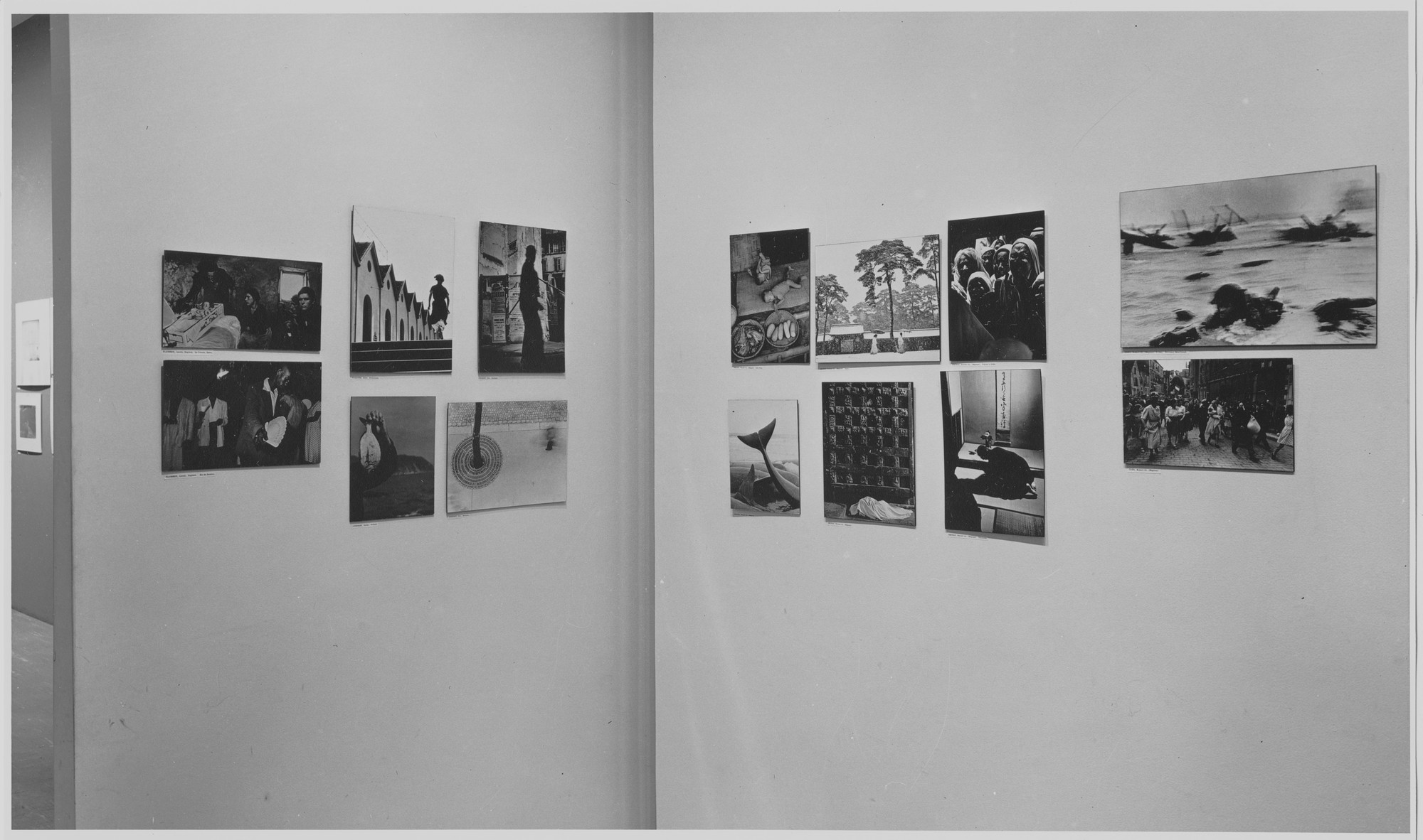 Installation view of the exhibition "Photographs from the Museum ...