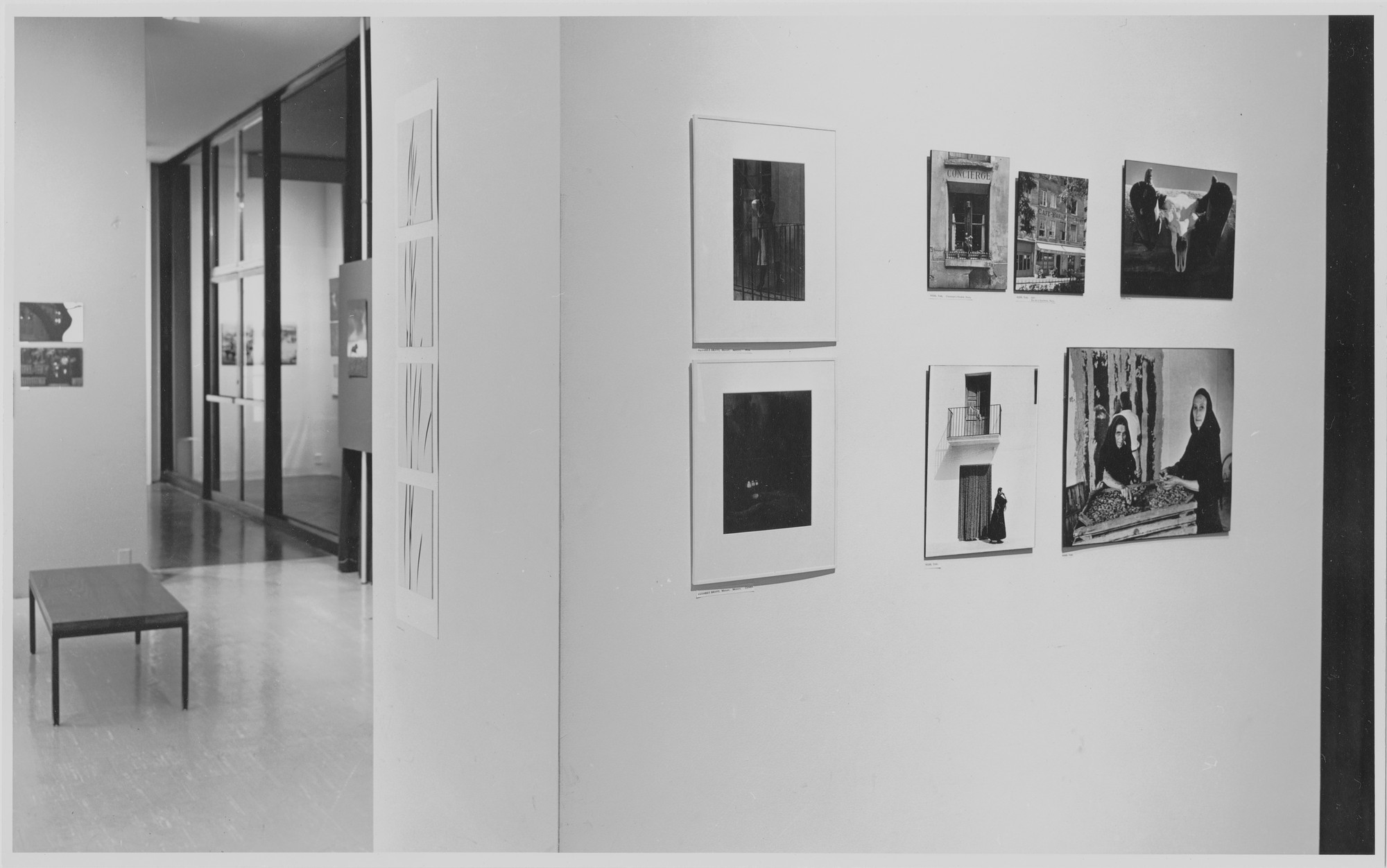 Installation view of the exhibition "Photographs from the Museum ...