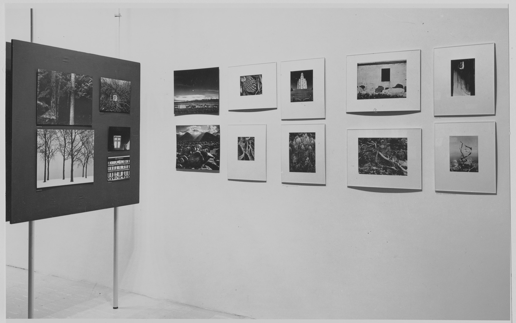 Installation view of the exhibition "Photographs from the Museum ...
