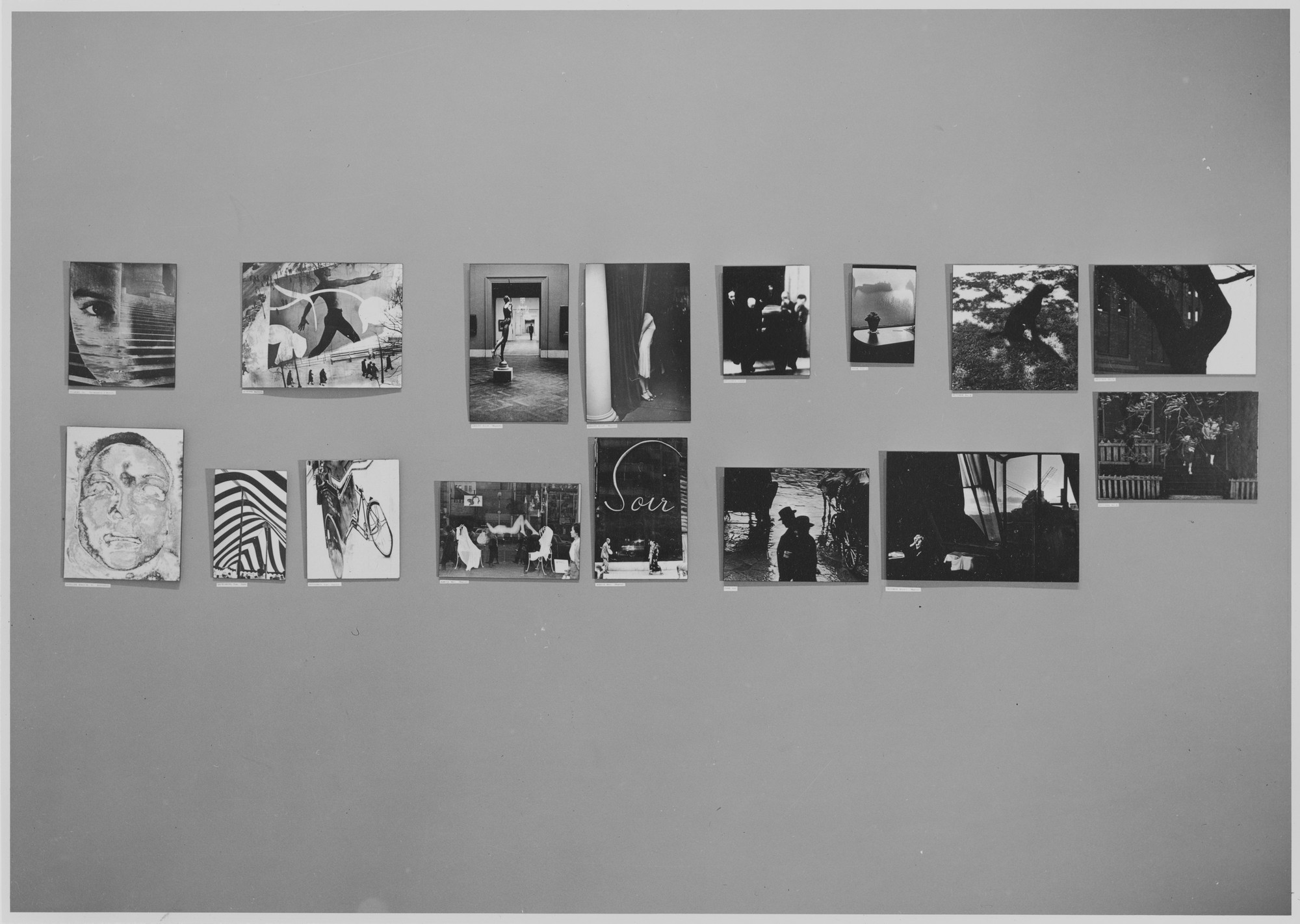 Installation view of the exhibition "Photographs from the Museum ...