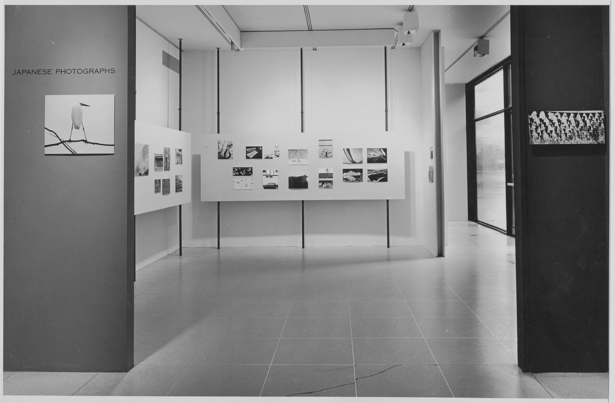 Installation view of the exhibition "Photographs from the Museum ...