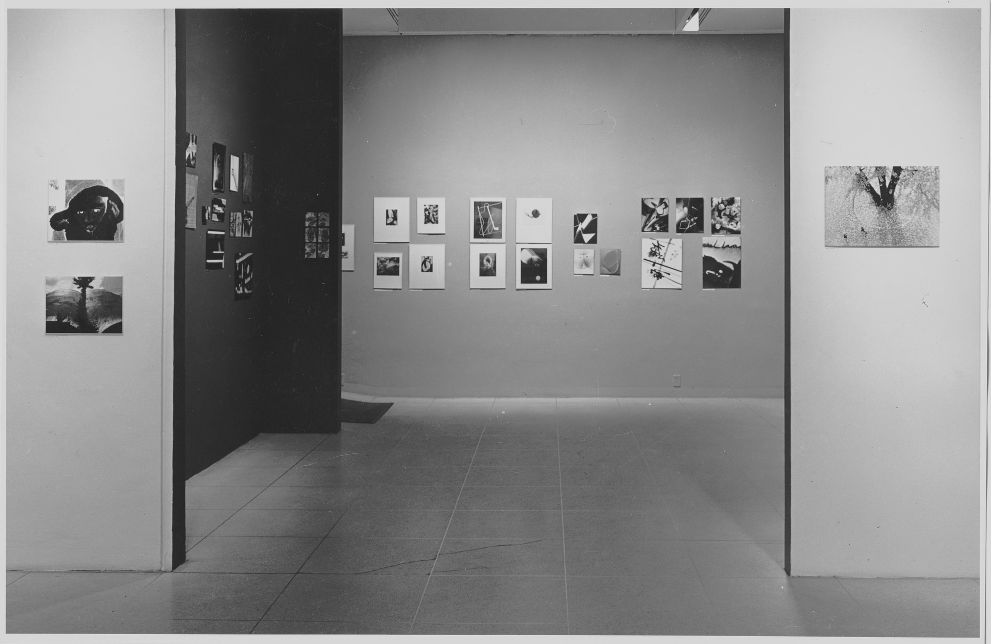 Installation view of the exhibition "Photographs from the Museum ...