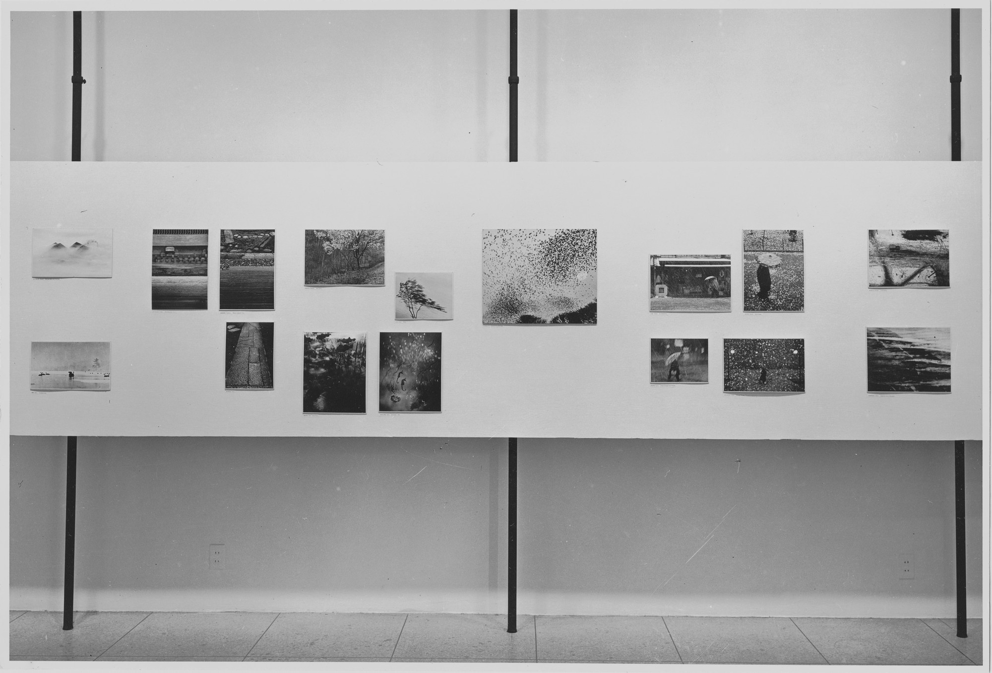 Installation view of the exhibition "Photographs from the Museum ...