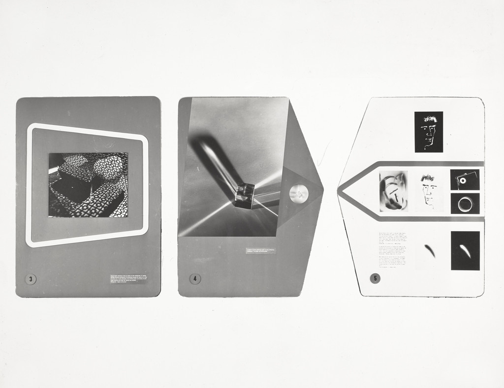 How to Make a Photogram | MoMA