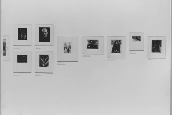 Imogen Cunningham. Leaf Pattern. before 1929 | MoMA