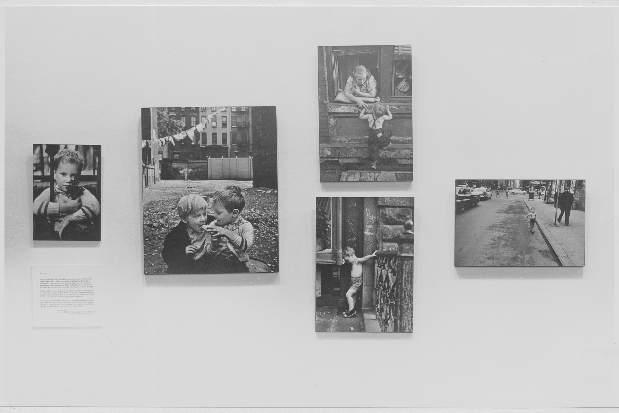 Installation view of the exhibition "Five Unrelated Photographers." | MoMA